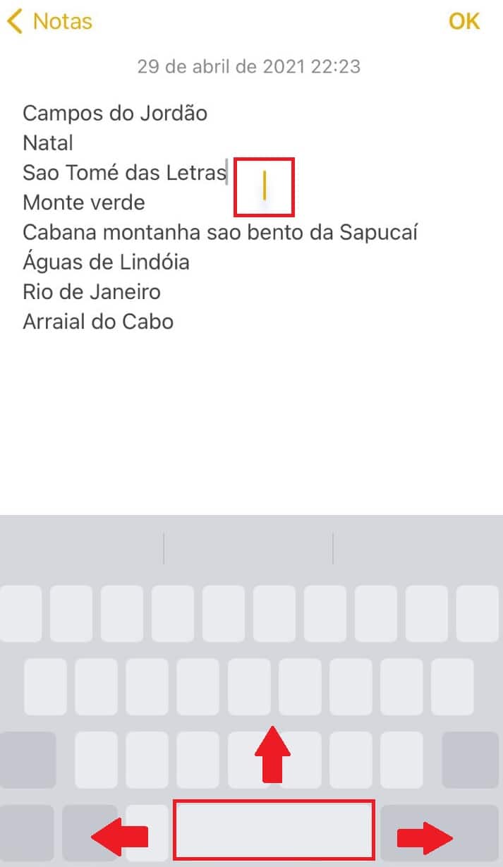 Conheça truques para facilitar o uso do cursor do iPhone - Olhar Digital