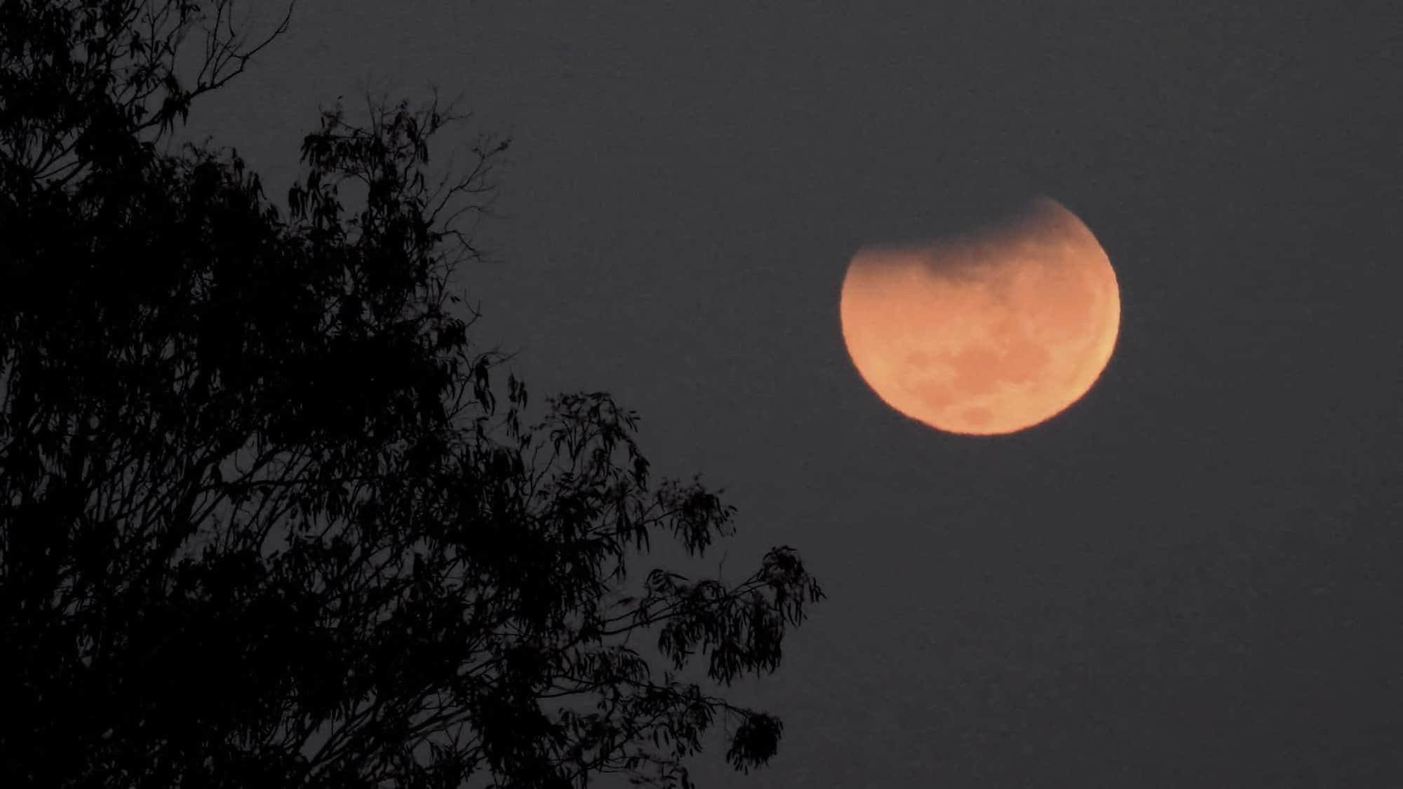 Veja fotos do eclipse da Lua pelo Brasil e pelo Mundo - Olhar Digital