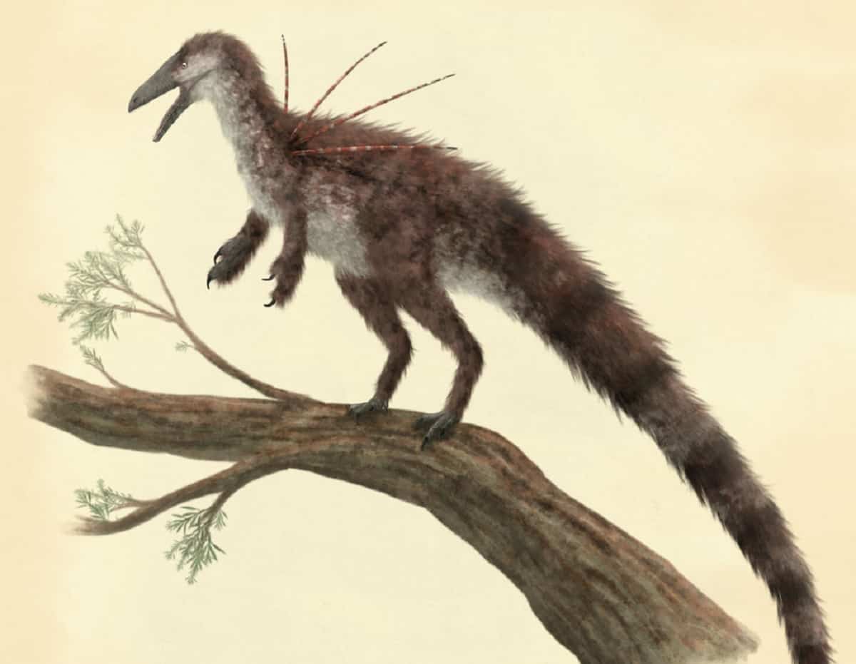 Brasil recupera fóssil de dinossauro levado ilegalmente para fora