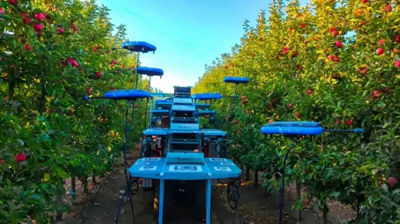 Drone com IA substitui humanos na colheita de frutas - Olhar Digital