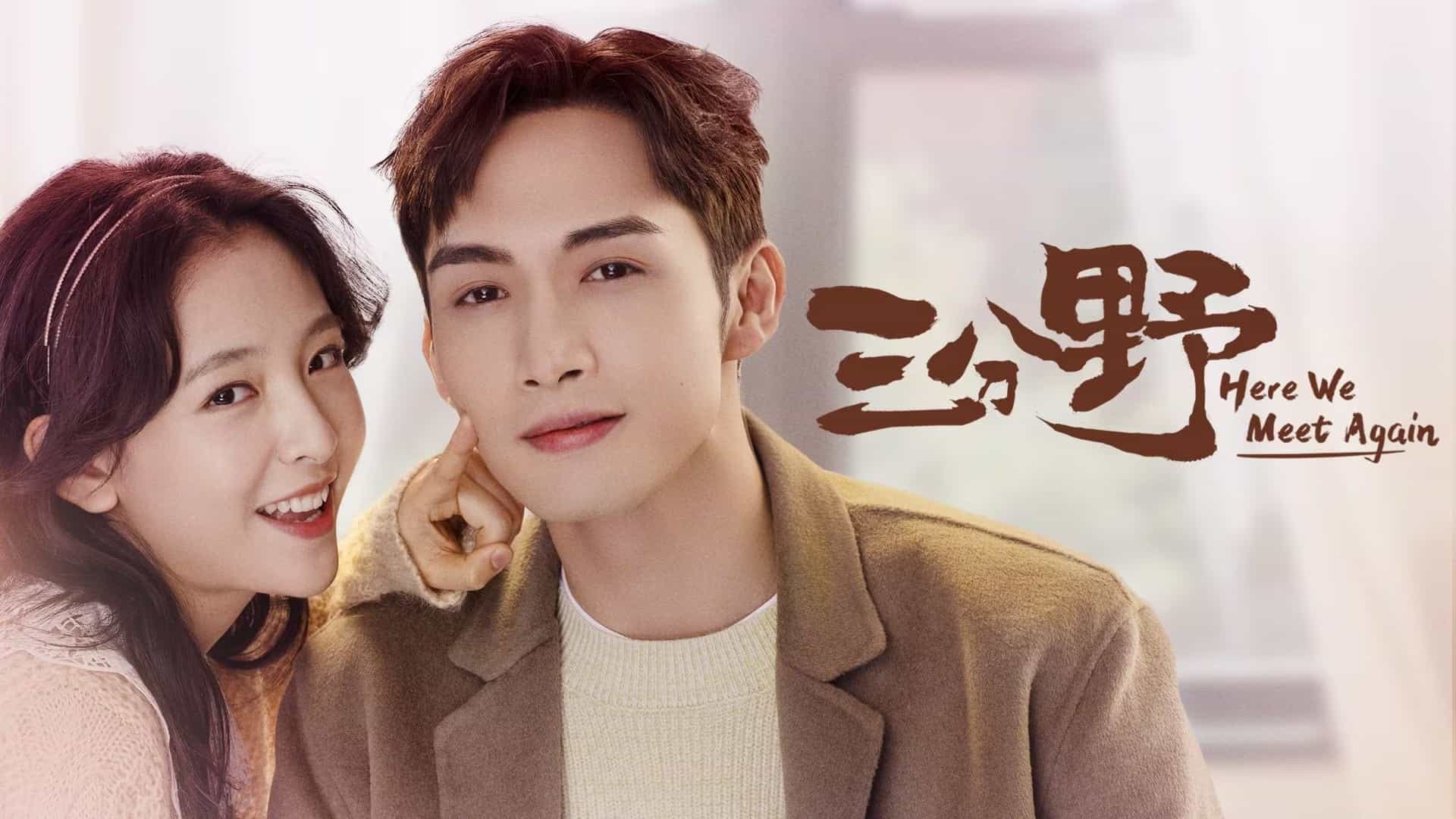 Here We Meet Again: sinopse, elenco e onde assistir