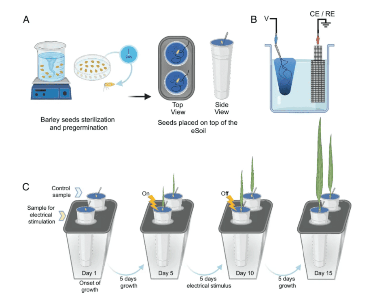The Swedes create an “electronic soil” that helps plants grow
