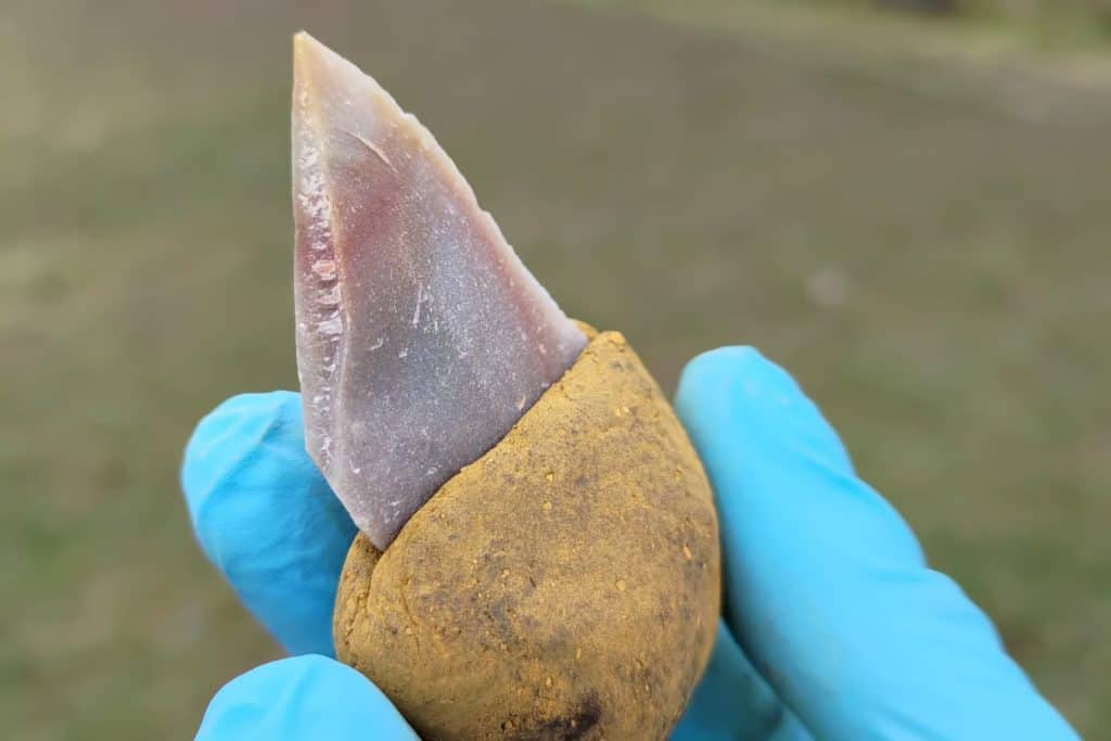 Cola pré-histórica aproxima os neandertais dos Homo sapiens